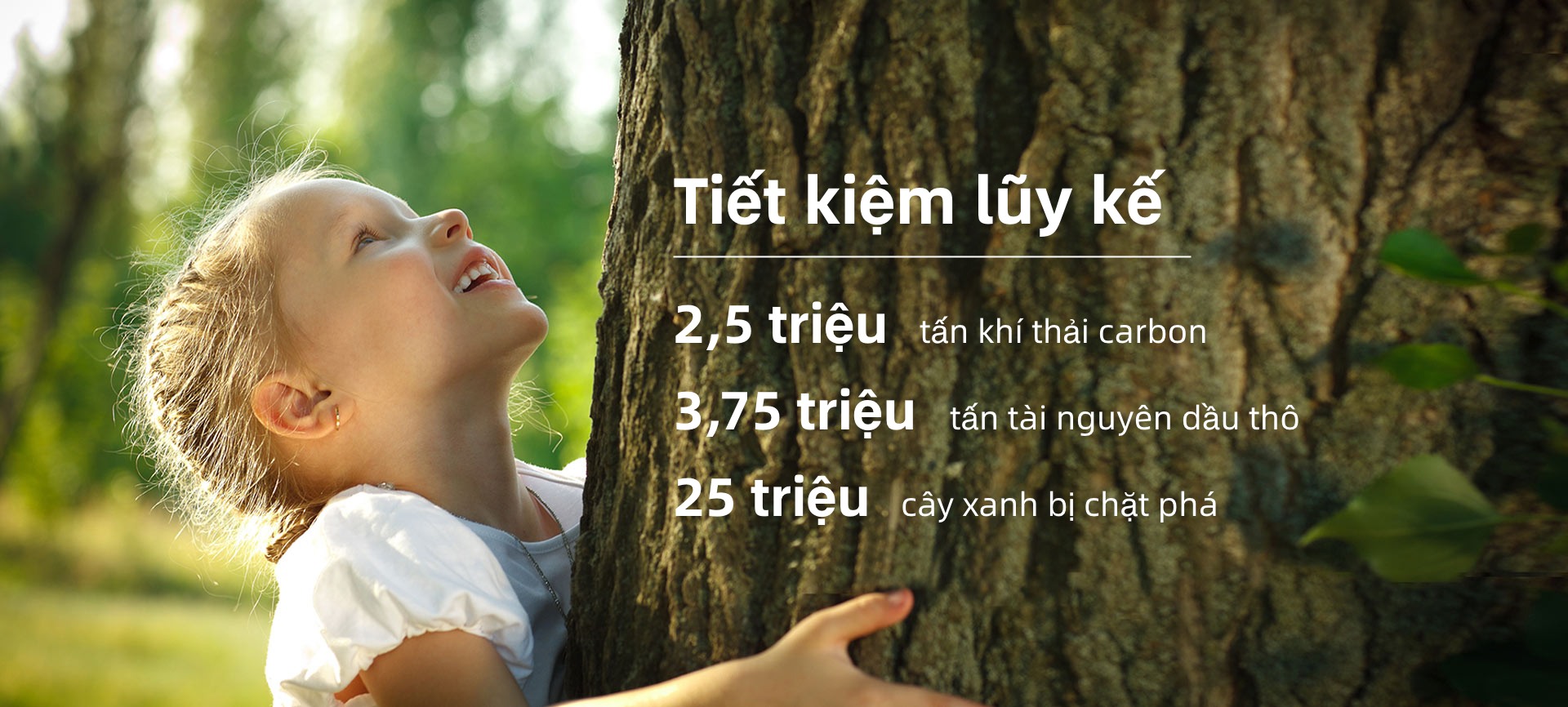 INTCO tái sinh, vạn vật tái sinh - INTCO RECYCLING